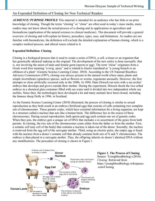 Clonal selection theory | PPT