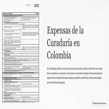 Expensas-de-la-Curaduria-en-Colombia.pdf