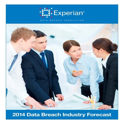 BREACH LEVEL INDEX | PDF