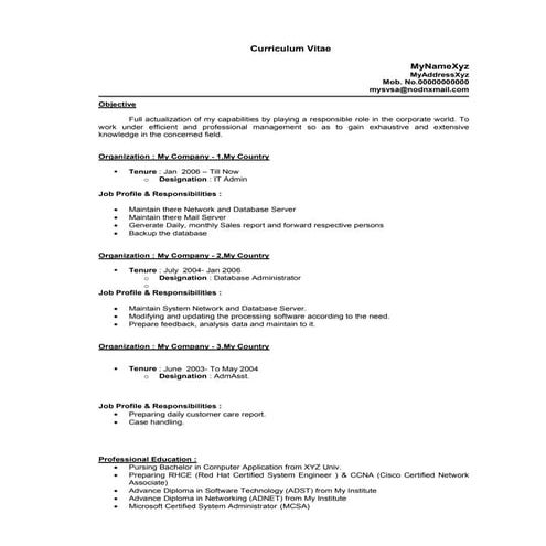 Cv format international | DOC