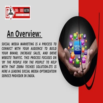 Experience Effective Social Media Marketing Services from Zebra Techies ...