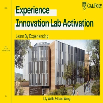 Experience innovation lab pitch | PDF