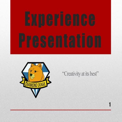 Experience presentation | PPTX