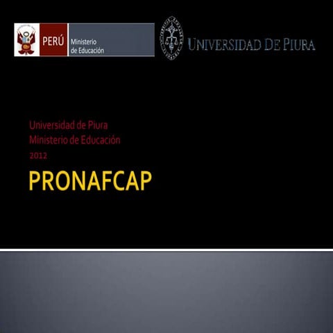 Kh.-Chapichadze-CV-Europass-17.04.2017-EN | PDF