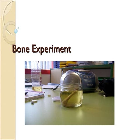 Bone experiment | PPT
