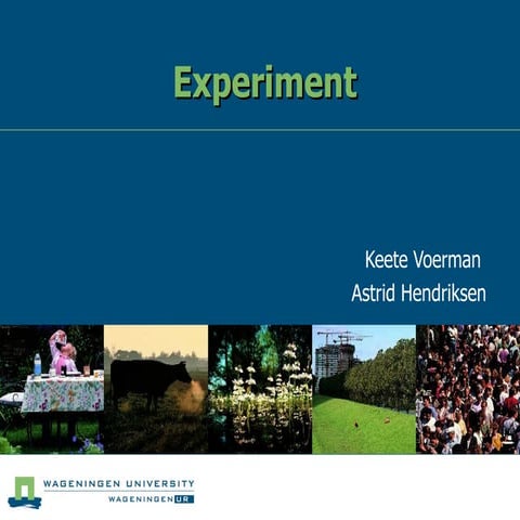 Experiment[1] | PPT