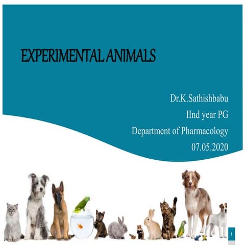 Common laboratory animals | PPTX
