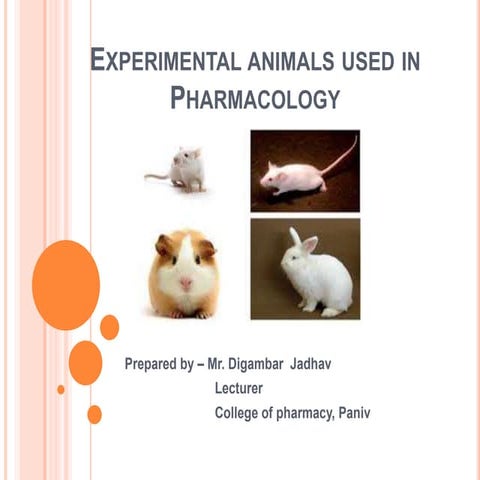 Experimental animals used in pharmacology | PPTX