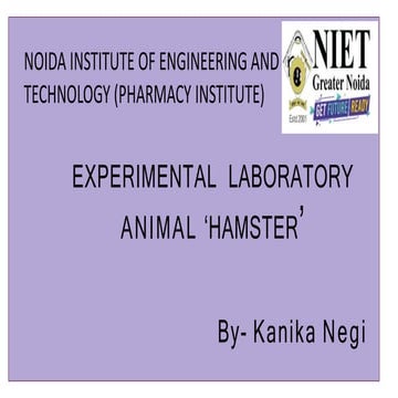 Presentation on experimental laboratory animal- Hamster | PPTX