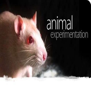 Experimentation on animals | PPTX
