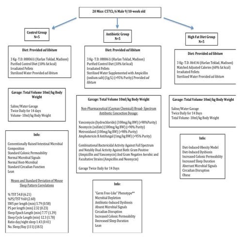 Experimental Design Flow Chart | PDF