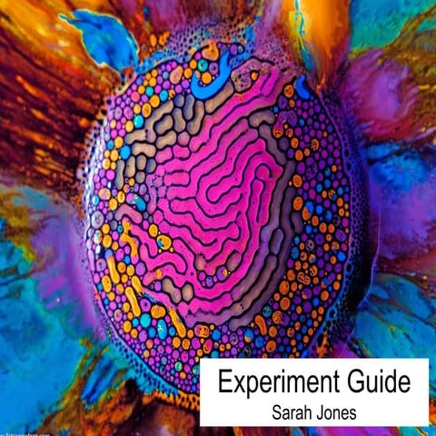 Experiment Guide | PPT