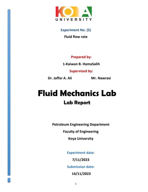 Fluid Mechanic Lab - Bernoulli Equation | PDF