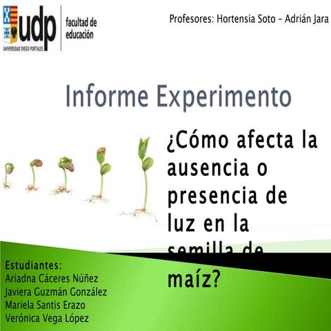 Experimento Plantas avance 2 | PPT