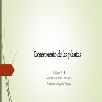Experimento de las plantas.pptx