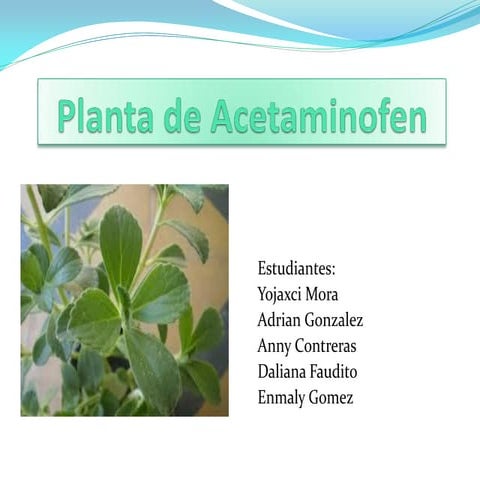 Experimento de plantas de acetaminofen | PDF