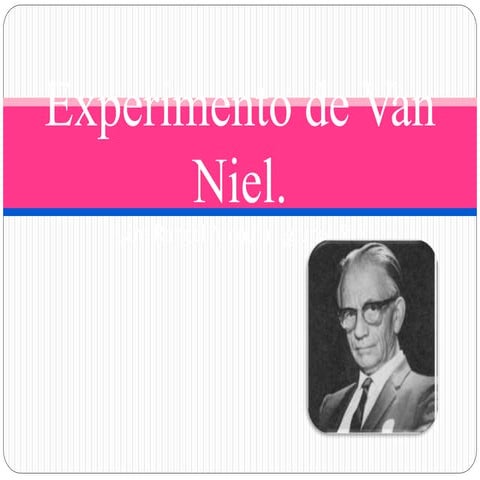 Experimentos de van niel | PPT