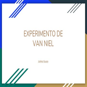 Experimento de van niel | PPTX