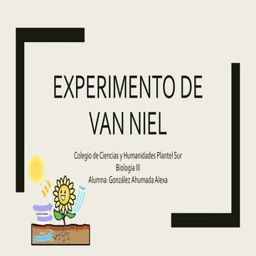 Experimento de van niel | PPTX