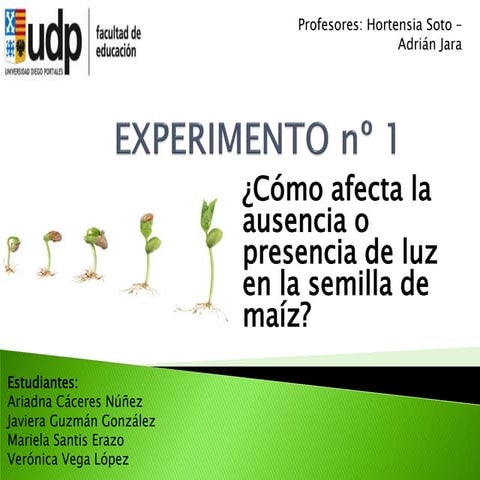 Informe experimento plantas | PDF