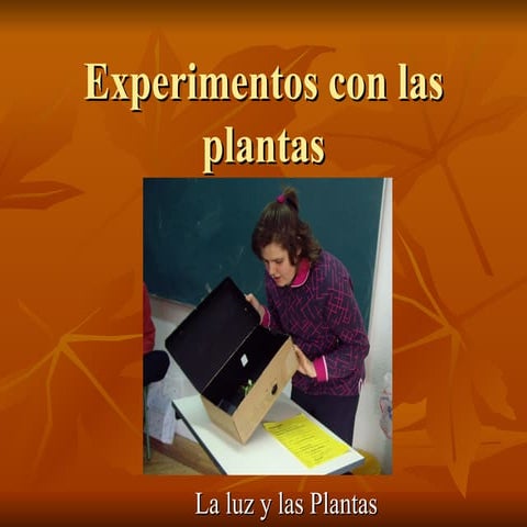 Experimentos con las plantas 3 | PPT