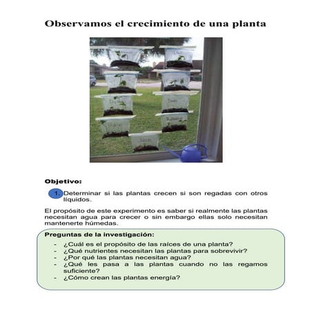 Experimentos Sobre Cómo Crecen Las Plantas