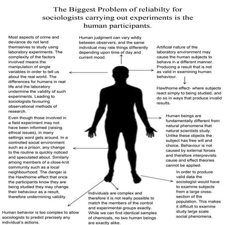 Experiments on human q1 | PDF