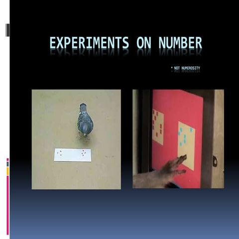 Experiments on Number | PPTX | Physics | Science