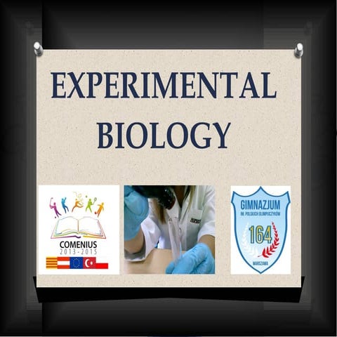 Experiments on starch protein and fat | PPT