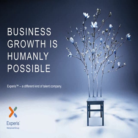 Experis | PDF