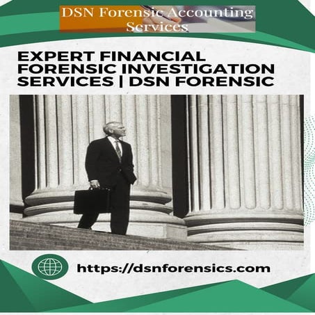 Expert Financial Forensic Investigation Services DSN Forensic | PDF ...