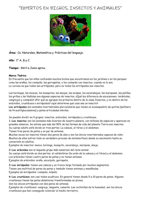 Proyecto Los Insectos | PPT