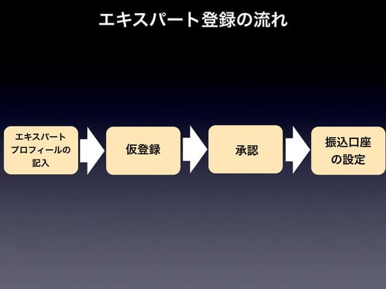 Stadler Holocom 101 | PDF