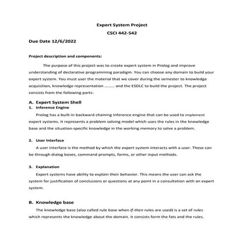 Expert System Project.pdf