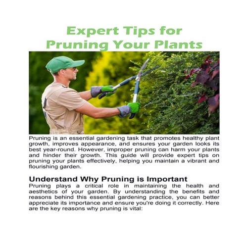 Expert Tips for Pruning Your Plants.pdf. | PDF