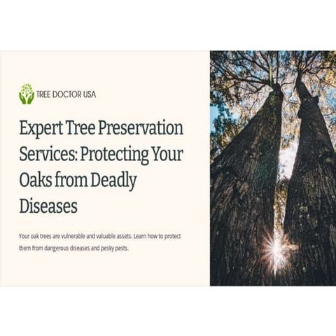 Understanding the Nutritional Needs of Trees A Guide to Growth ...