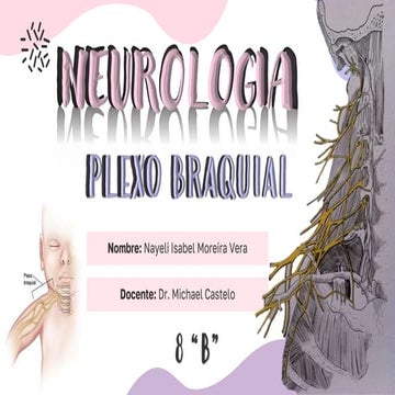 NEURLOGIA DEL PLEXO BRAQUIAL SU FUNCION Y ANATOMIA | PPTX