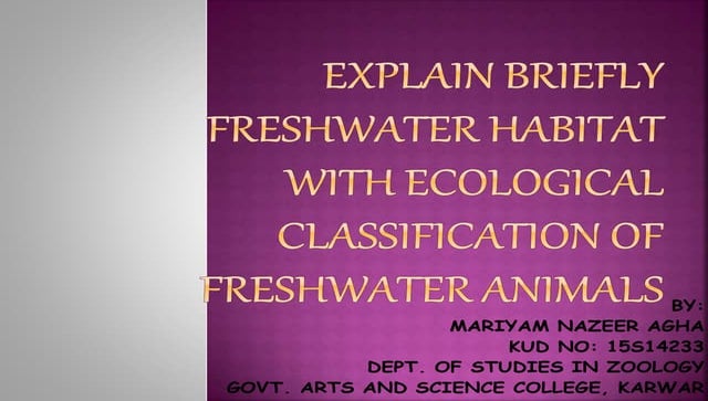 Similarities Between Terrestrial And Aquatic Animals Clipart