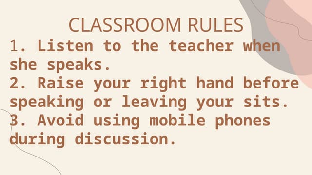 Roles of social workers | PPTX