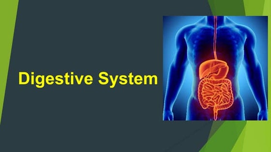Digestive system Lesson for Grade 6 students.pdf | Digestive Disorders ...
