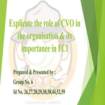 Explicate_the_role_of_CVO_in_the_organisation.pptx