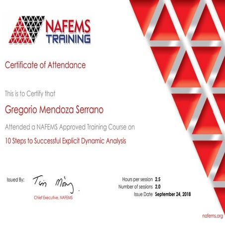 10 Steps to Sucessful Explicit Dynamic Analysis (NAFEMS) | PDF