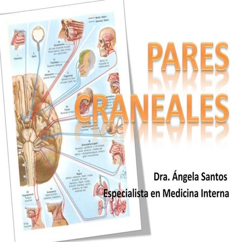 EXPLORACION DE PARES CRANEALES | PPTX