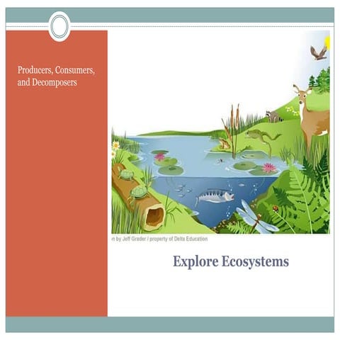 Explore ecosystems ppt | PPTX