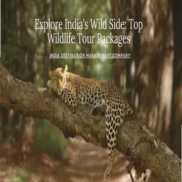 13 Days Itinerary: Explore India's Wild Side Top Wildlife Tour Packages.pdf