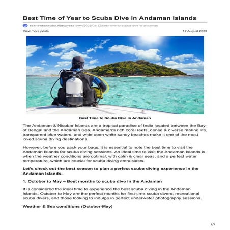 Plan A Perfect Scuba Diving in Andaman Trip to Explore Hidden Sea Gems ...