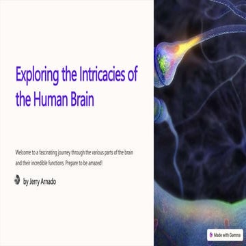 Exploring-the-Intricacies-of-the-Human-Brain.pptx