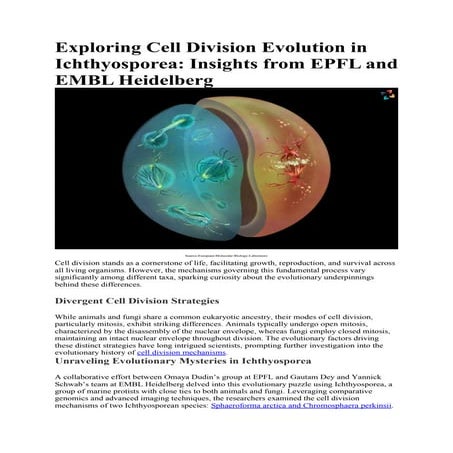 Cell Division Evolution in Ichthyosporea: Insights from EPFL and EMBL ...