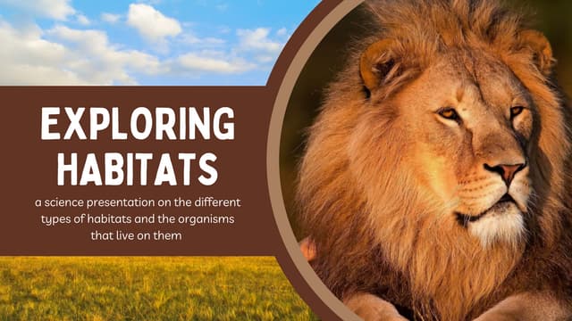 Animals habitat and adaptations- habitat | PPTX