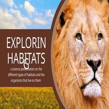 Exploring Different Types of Habitats Presentation in Brown Illustrative Style.pptx